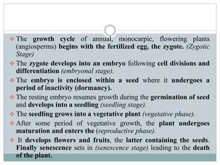 Plant growth | PPTX