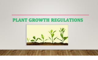 plant growth regulations -soil and agricultural microbiology | PPT