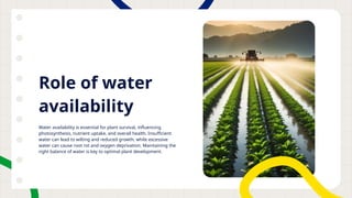 Plant Growth and development and procedure how plant gain and grow in ...