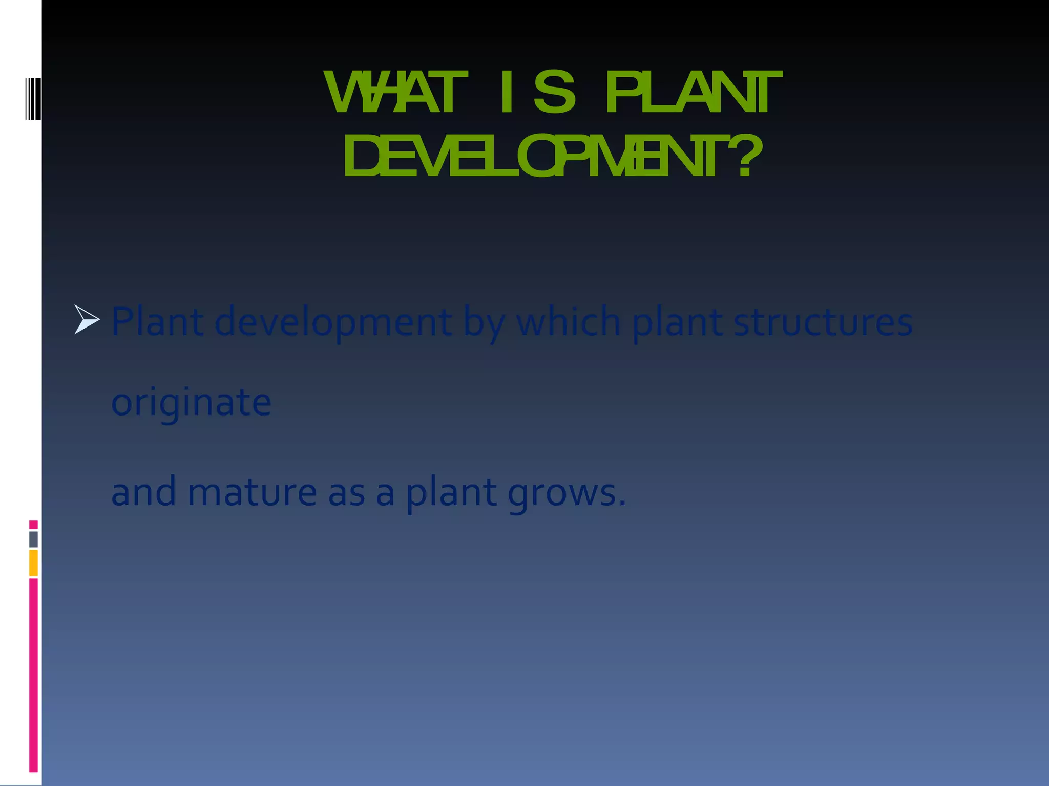 Plant growth and development | PPT