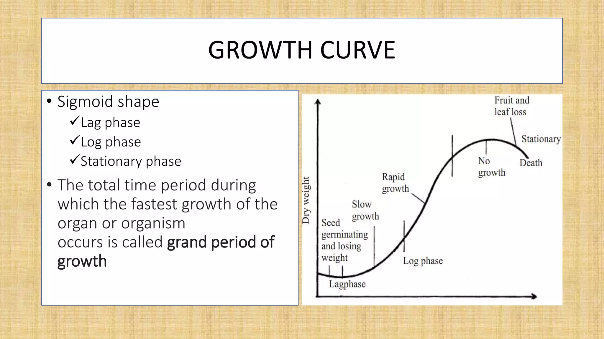 Plant growth and development.pptx