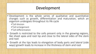Plant growth and development.pptx