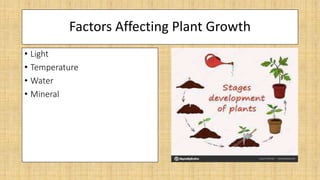 Plant growth and development.pptx