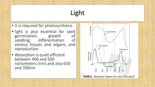 Plant growth and development.pptx
