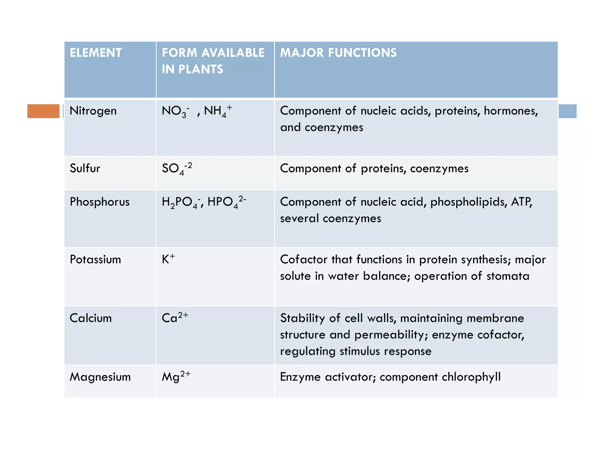 Plant growth and development [compatibility mode] | PPT
