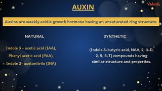 Plant+Growth+and+Development+L1+Plant+hormones.pdf