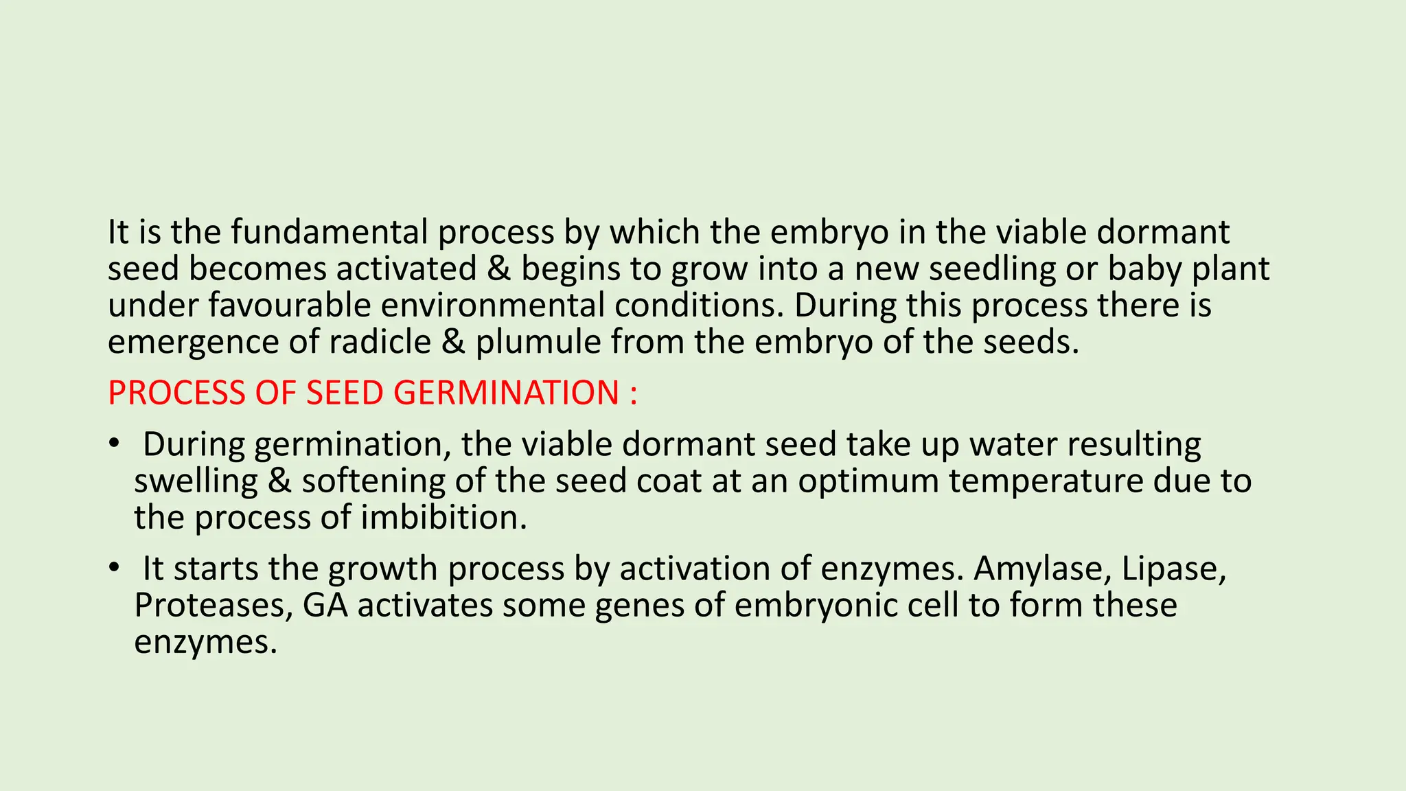 Plant growth and movement excellent.pptx