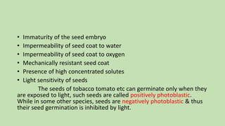 Plant growth and movement excellent.pptx