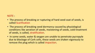 Plant growth and movement excellent.pptx
