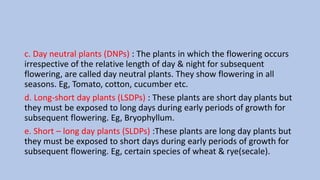 Plant growth and movement excellent.pptx
