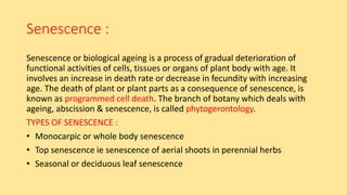 Plant growth and movement excellent.pptx