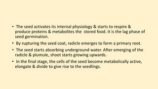 Plant growth and movement excellent.pptx