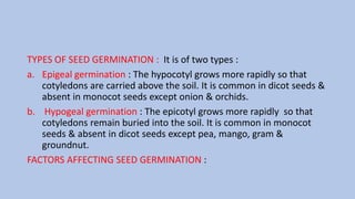 Plant growth and movement excellent.pptx