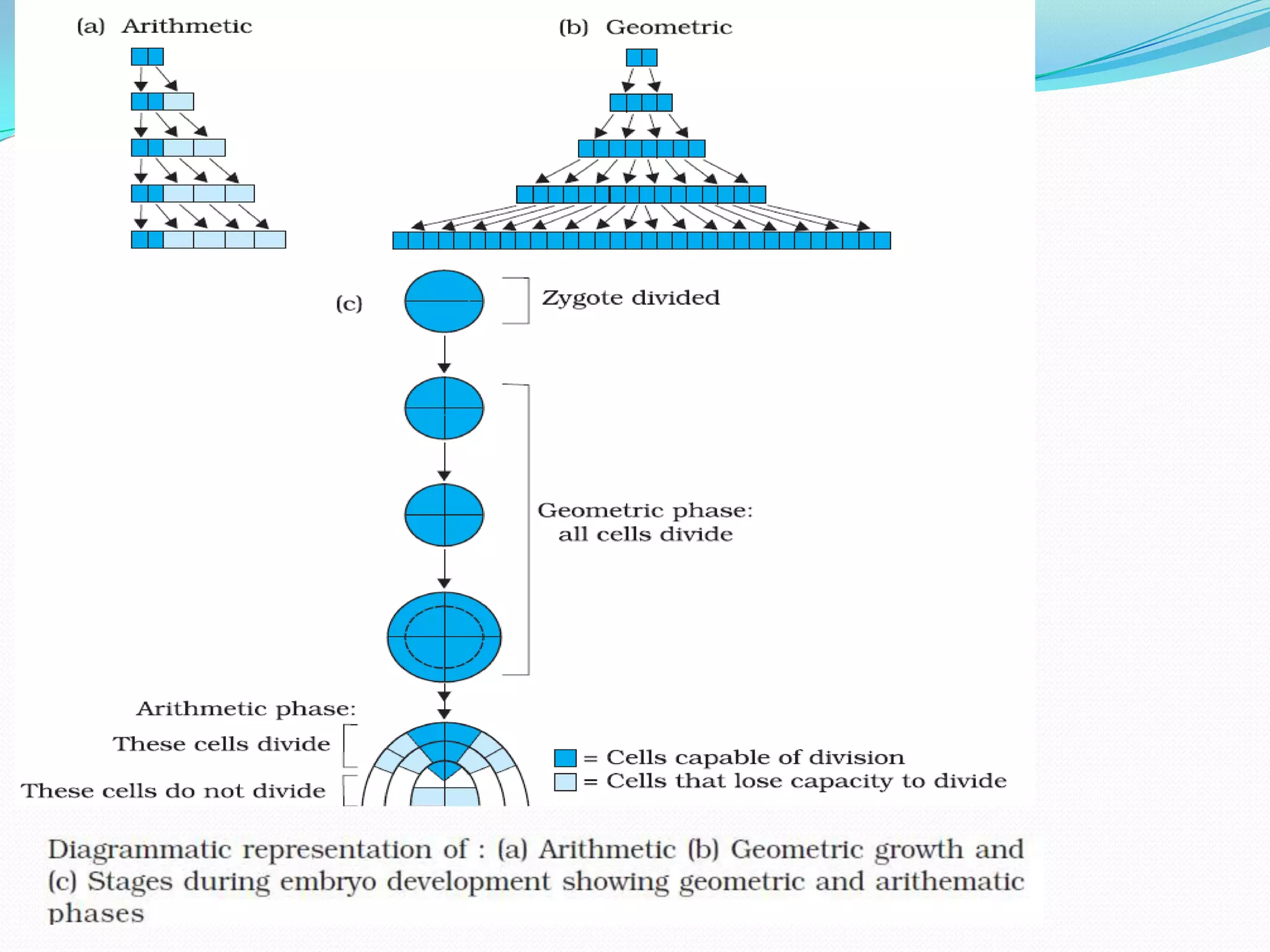 Plant growth &development1 | PPT