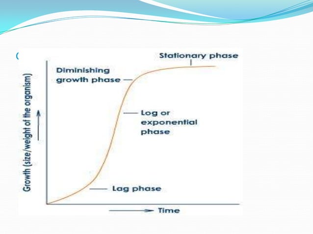 Plant growth &development1 | PPT | Gardening | Home & Garden
