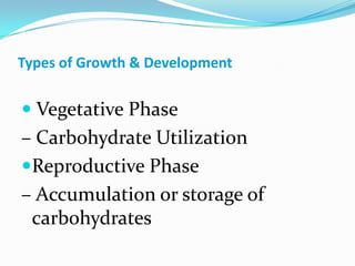 Plant growth &development1 | PPT | Gardening | Home & Garden