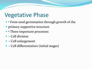 Plant growth &development1 | PPT