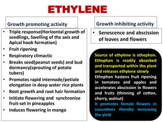 PLANT GROWTH & DEVELOPMENTyxz.pdf