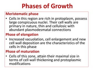 PLANT GROWTH & DEVELOPMENTyxz.pdf