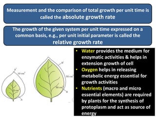 PLANT GROWTH & DEVELOPMENTyxz.pdf