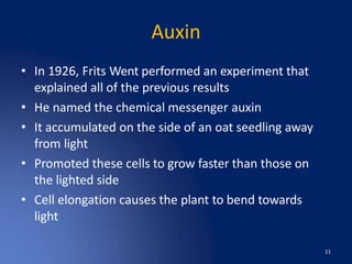 Plant growth hormone | PPTX
