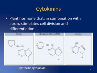 Plant growth hormone | PPT