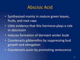 Plant growth hormone | PPTX