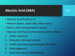 PLANT GROWTH HORMONE.pdf