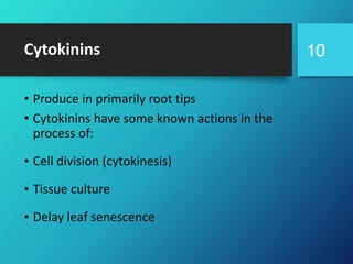 PLANT GROWTH HORMONE.pdf