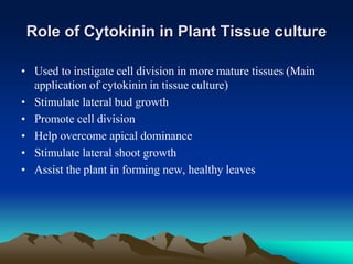 Plant growth hormones | PPT