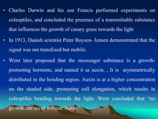 Plant growth hormones | PPT