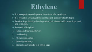 Plant growth hormones | PDF