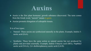Plant growth hormones | PDF