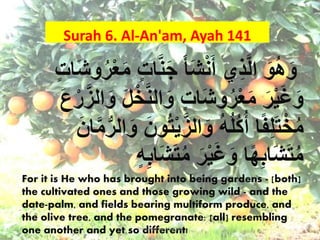 Plant growth in islam | PPT