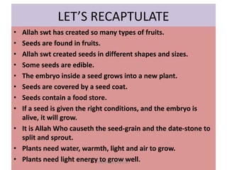 Plant growth in islam | PPT
