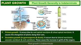 Plant growth n development by BNP.pdf