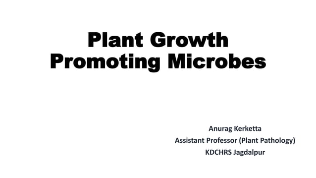 Plant Growth Promoting microbes.pptx