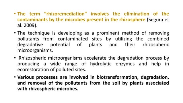 Plant Growth Promoting microbes.pptx