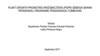PLANT GROWTH PROMOTING RHIZOBACTERIA (PGPR) _workshop ditlinhort.pdf