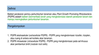 PLANT GROWTH PROMOTING RHIZOBACTERIA (PGPR) _workshop ditlinhort.pdf