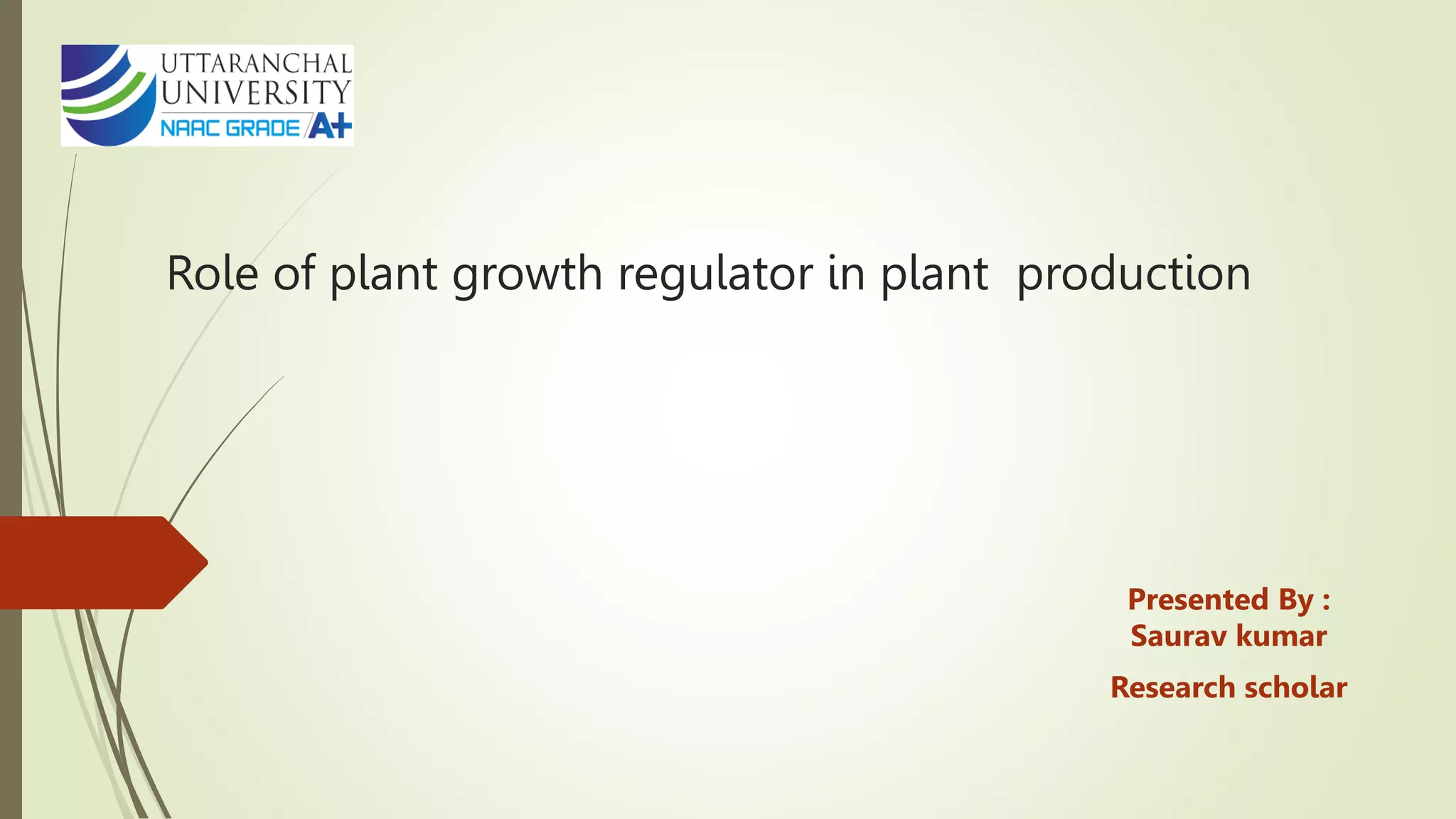 plant growth regulator.pptx