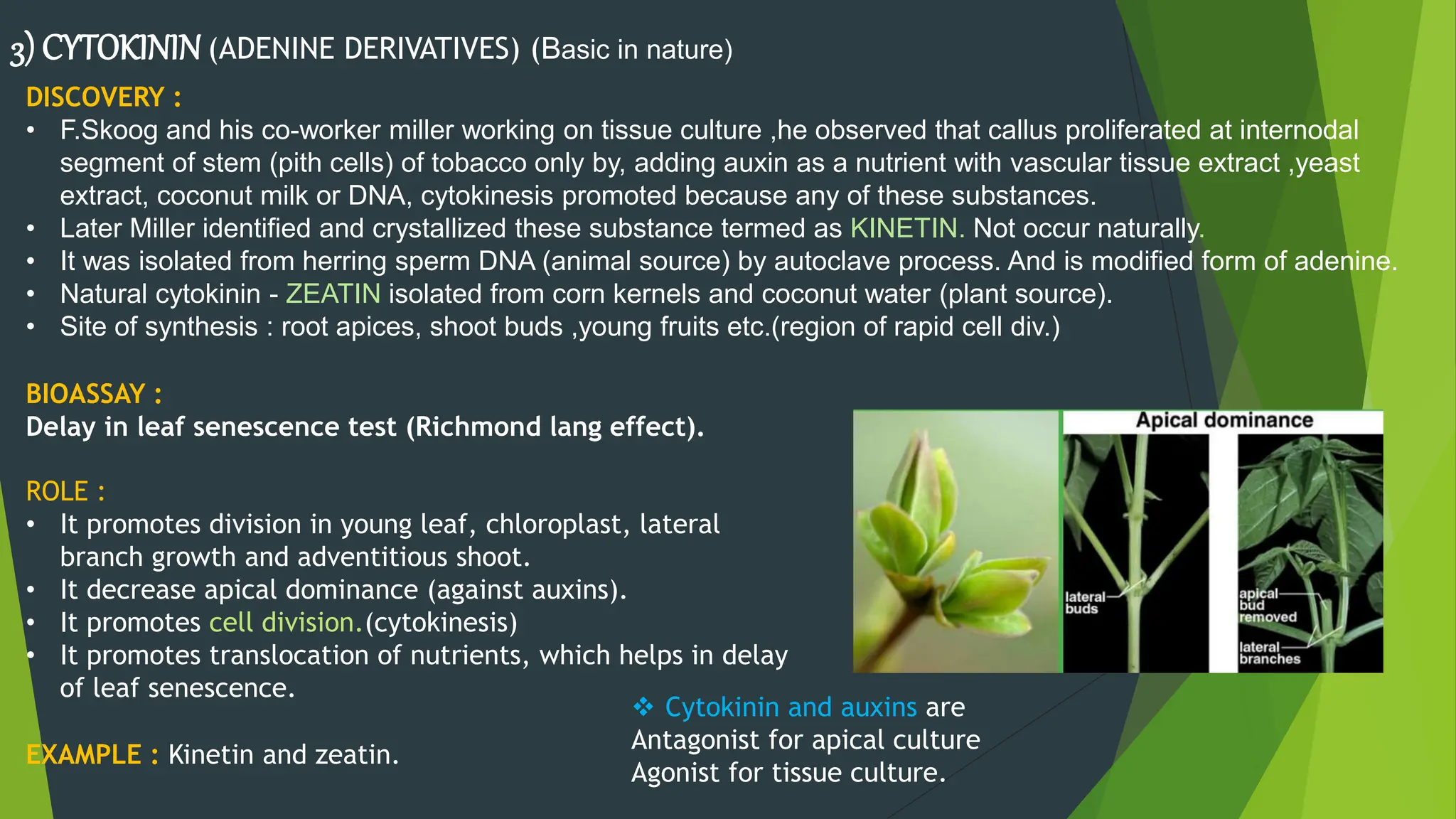 plant growth regulator ,PGR ppt.pptx