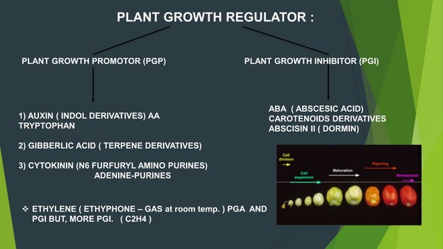 plant growth regulator ,PGR ppt.pptx