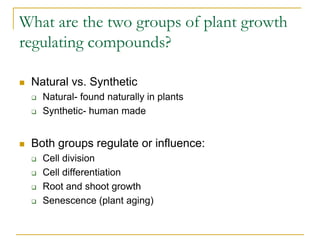 Plant growth regulators | PPSX