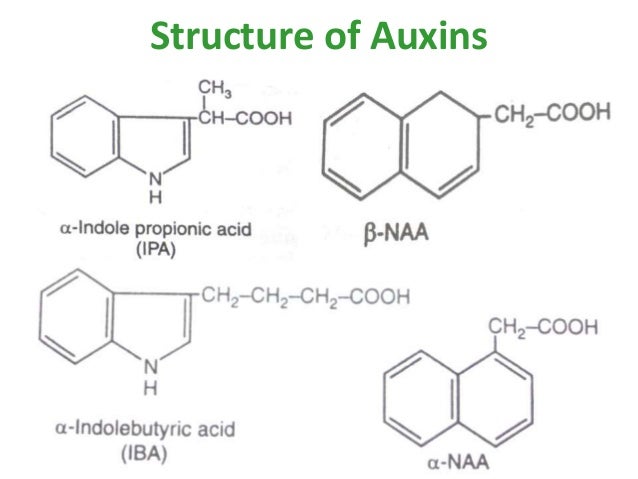 Plant growth regulators