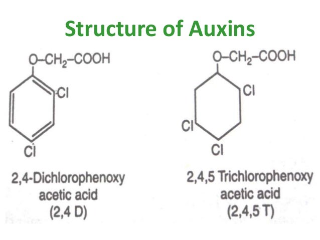 Plant growth regulators