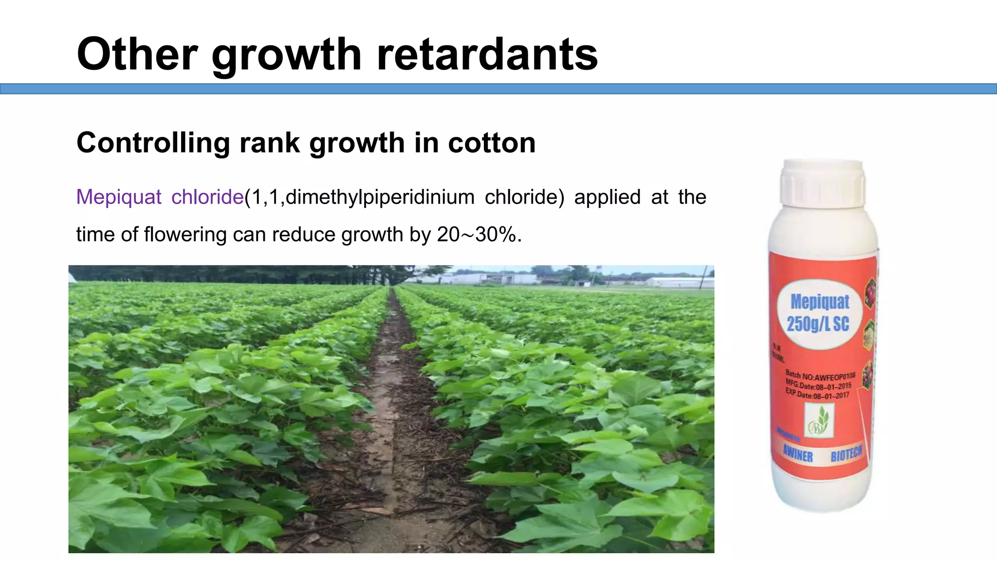 Application of Plant Growth Regulators (PGR's) in Agriculture | PPTX