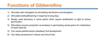 Application of Plant Growth Regulators (PGR's) in Agriculture | PPTX