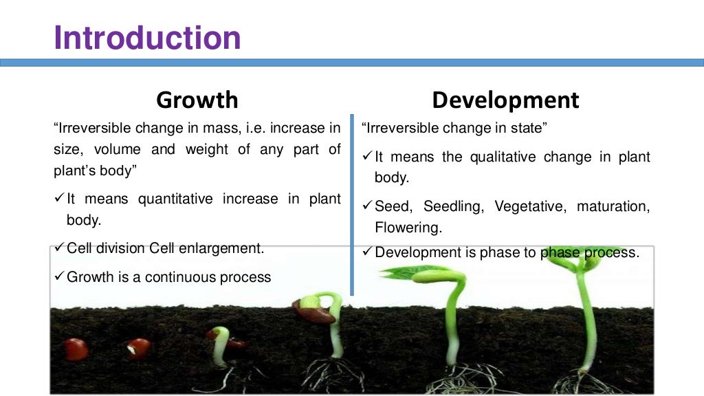 Application Of Plant Growth Regulators Pgrs In Agriculture