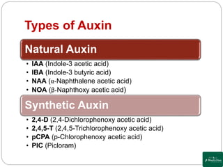 Plant Growth Regulators | PPTX
